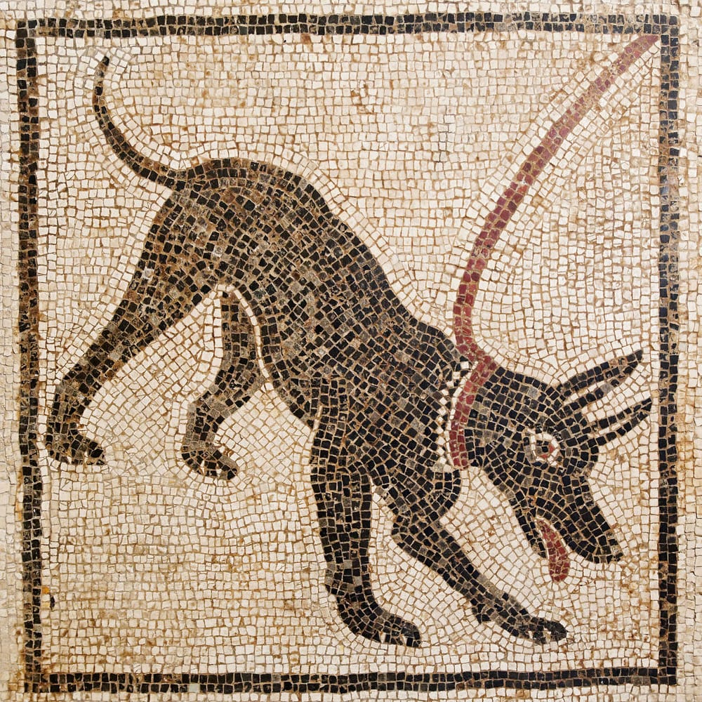 Did Ancient Romans Have Pets?