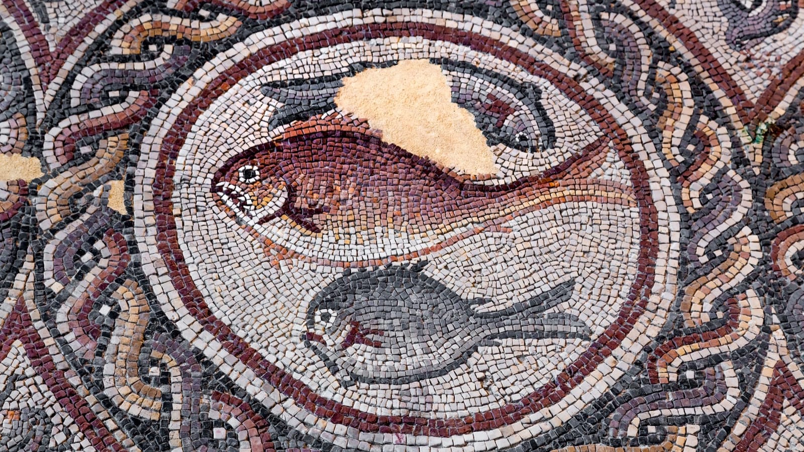 Garum: The Unami of Ancient Rome