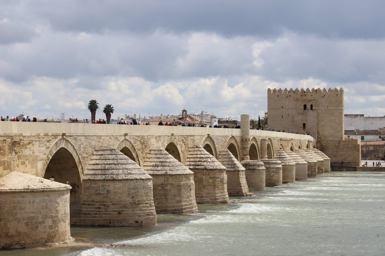 The Phenomenal Roman Bridges: Connecting Past with Present