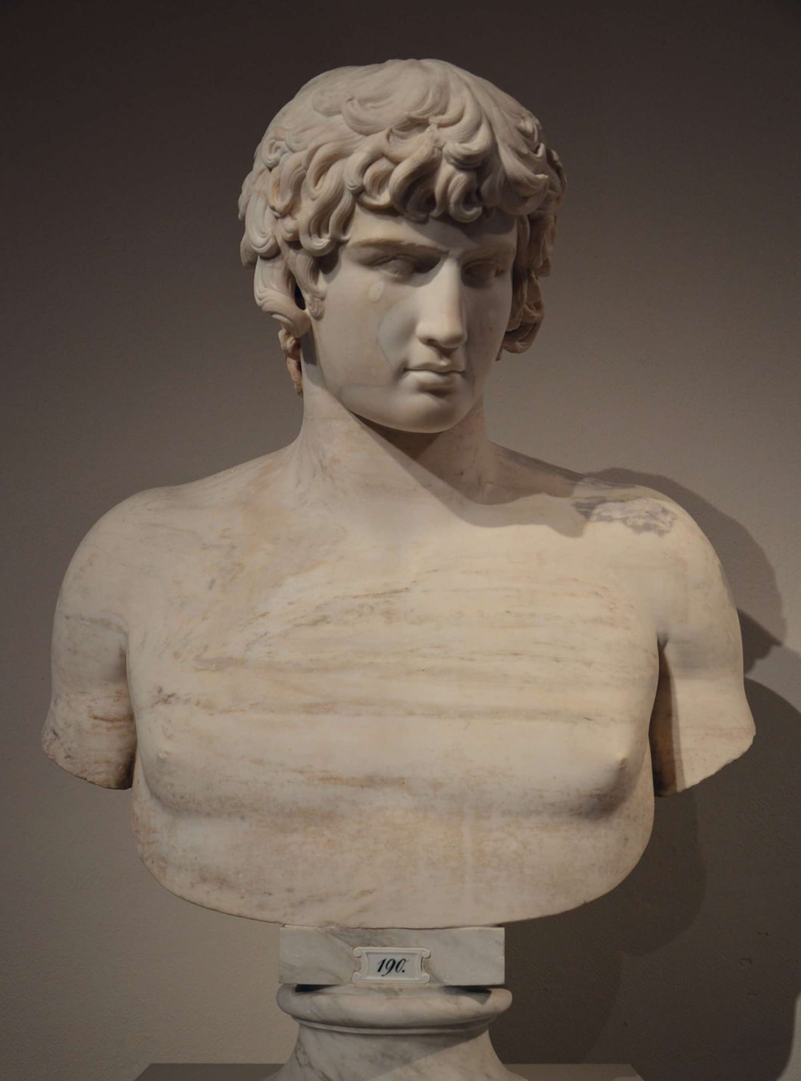 Antinous and Hadrian: Love, Devotion, or Divine Ambition?