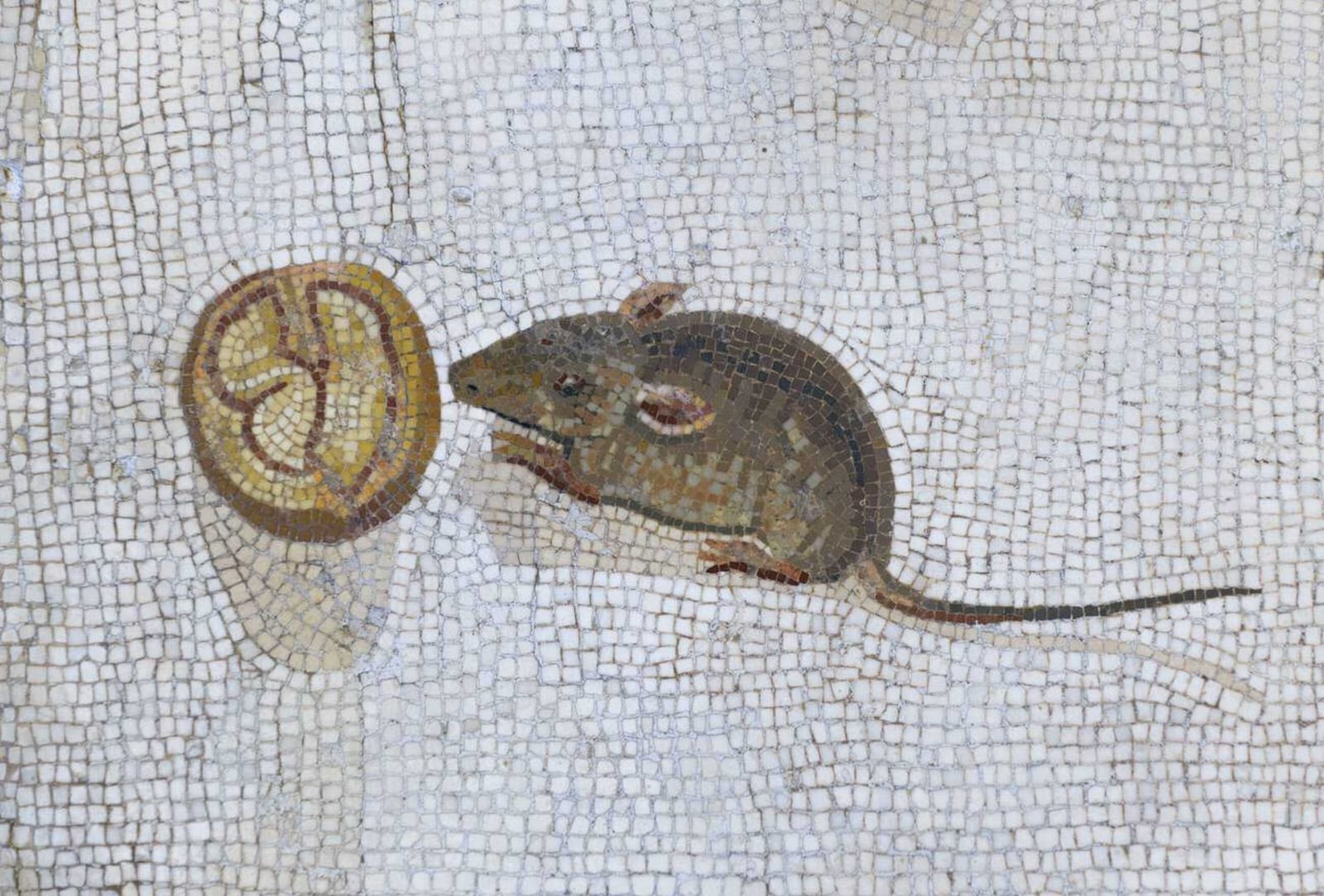 Asarotos Oikos Mosaic: The Unswept Floor of the Roman Elite