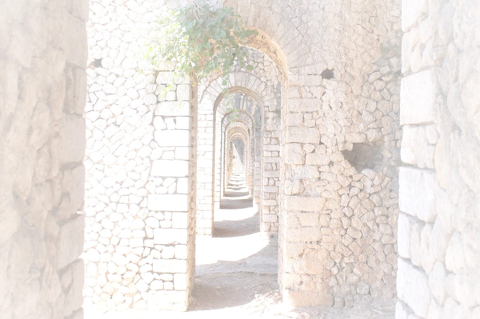 Roman Engineering: The Backbone of an Empire