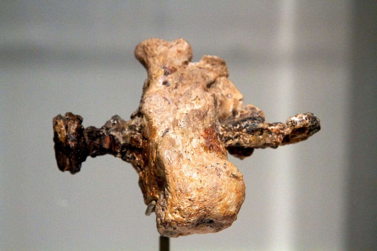 Rome’s Hidden Cruelties: Disturbing facts about the Roman Empire (Part 1)