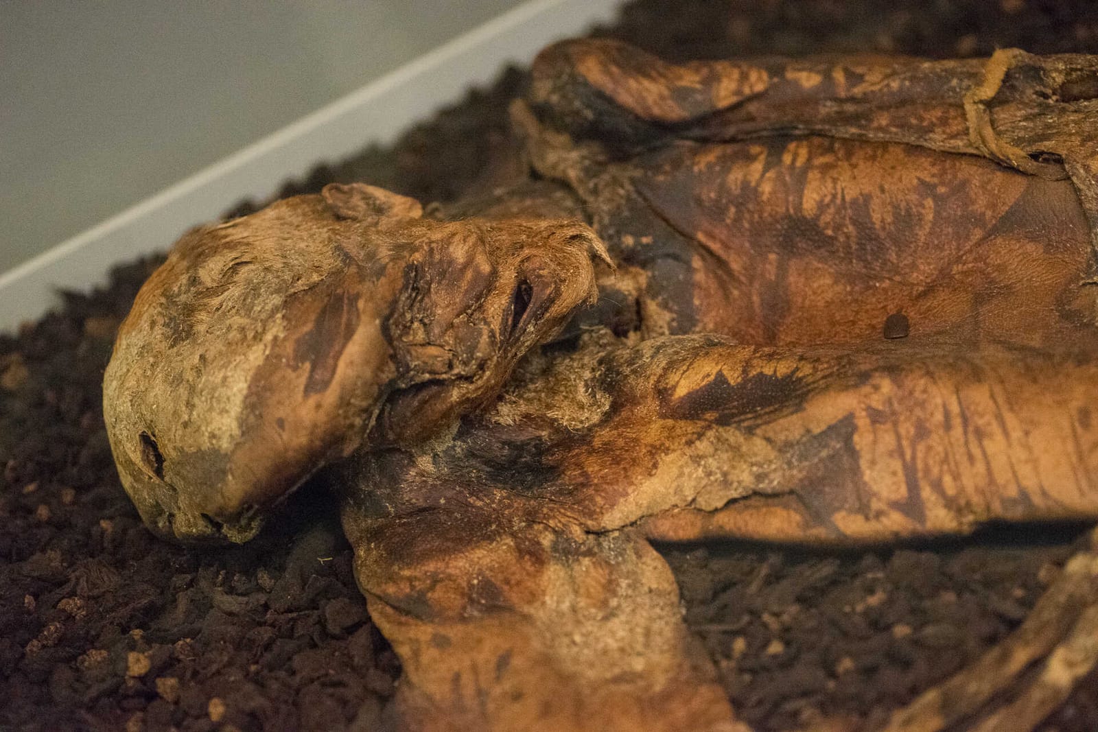 What Was Life Really Like in Roman Britain?