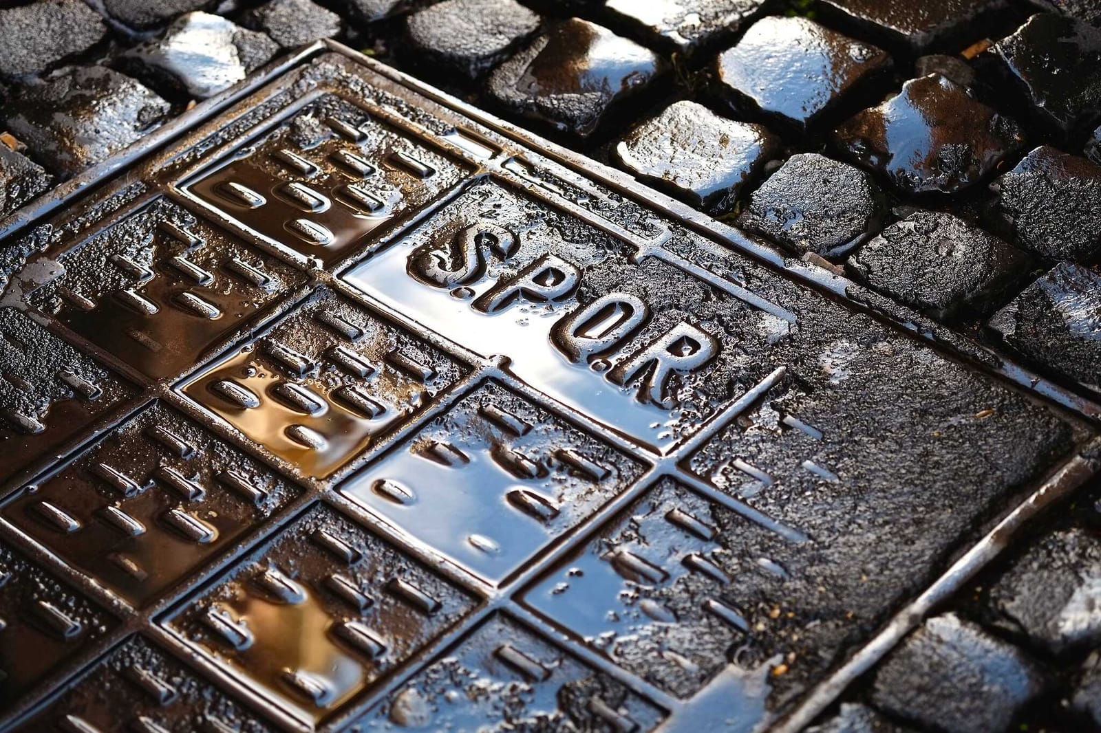The Senate of Rome, Senatus Populusque Romanus: Backbone of a Republic ...