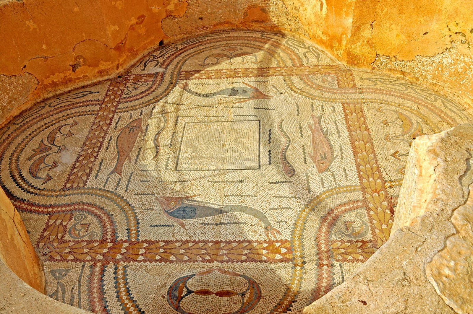 Numidia: Rome’s African Frontier and the Soldiers Who Changed an Empire