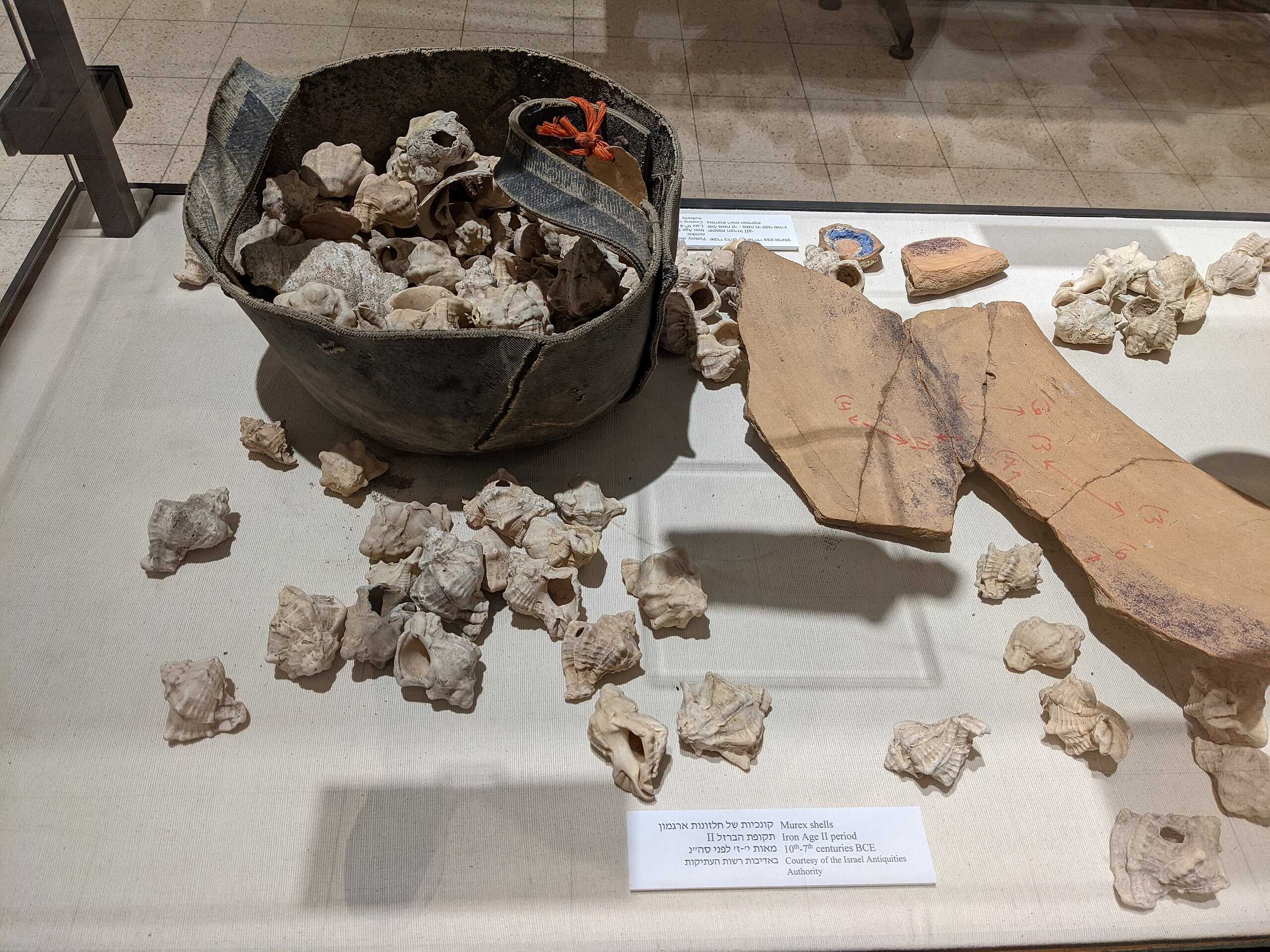 Tyrian Purple: The Royal Dye of the Ancient World and the Secrets of ...