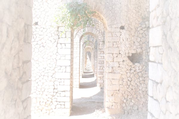 Roman Engineering: The Backbone of an Empire